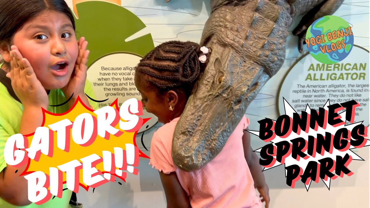 YOGI BENJI VLOGS| GATORS BITE!!! - YouTube