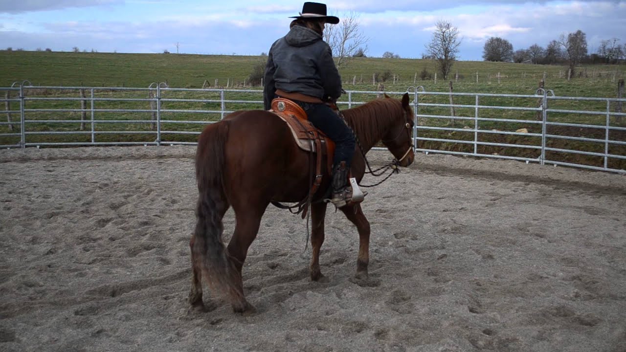 Bosal training - YouTube