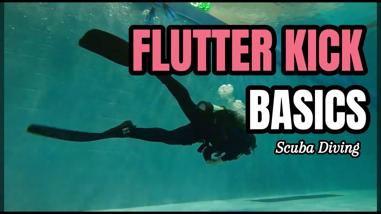 How To Scuba Diving 프로그킥 보다 플루터킥 부터 스쿠버 다이빙 핀 킥 연습 성남종합스포츠센터 잠수풀 수중영상