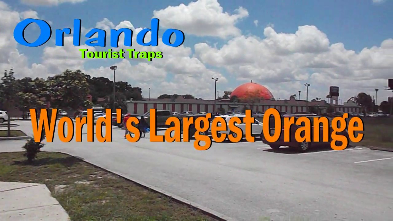 Disney World Area Gift Shops - World's Largest Orange Gift Shop Hwy 192 ...