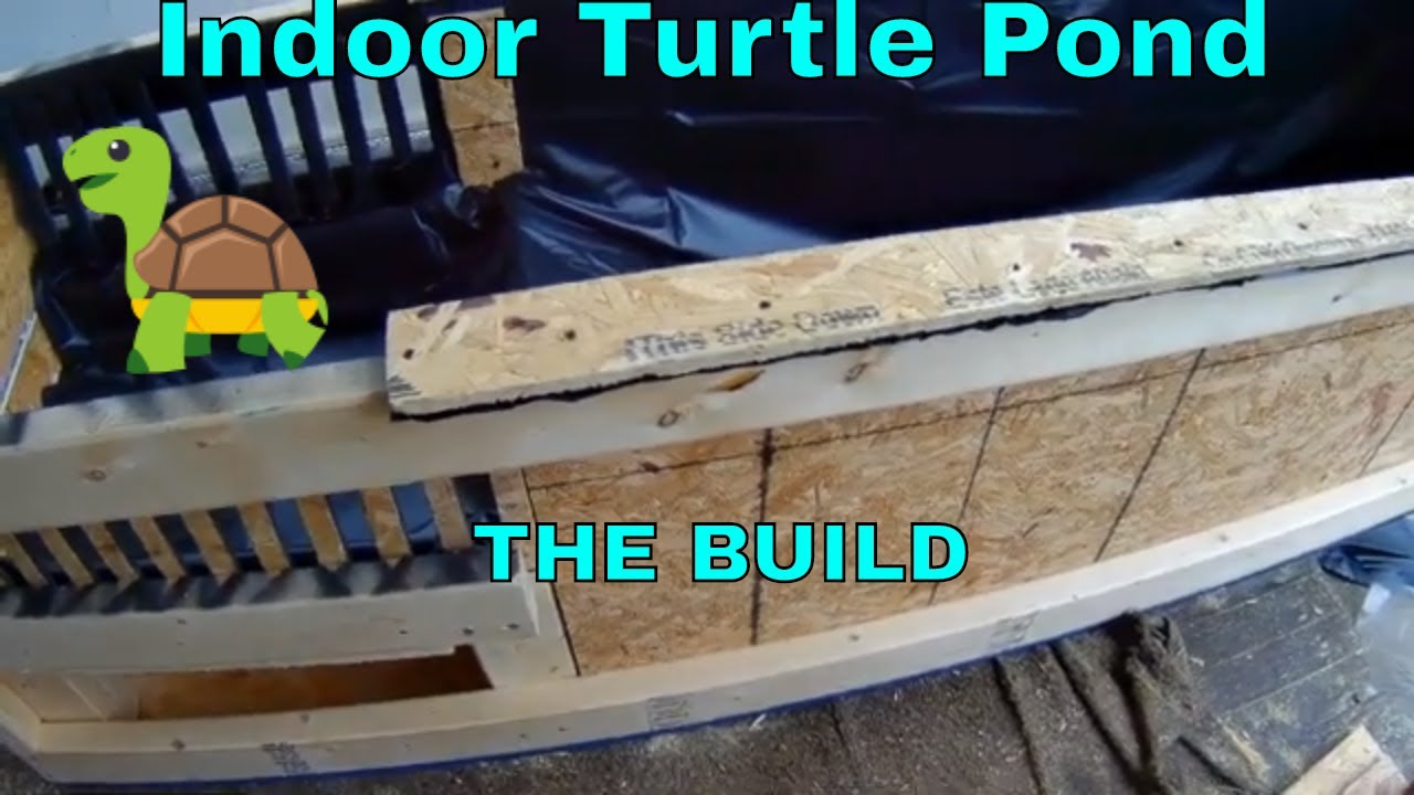 Building The Indoor Turtle Pond - YouTube
