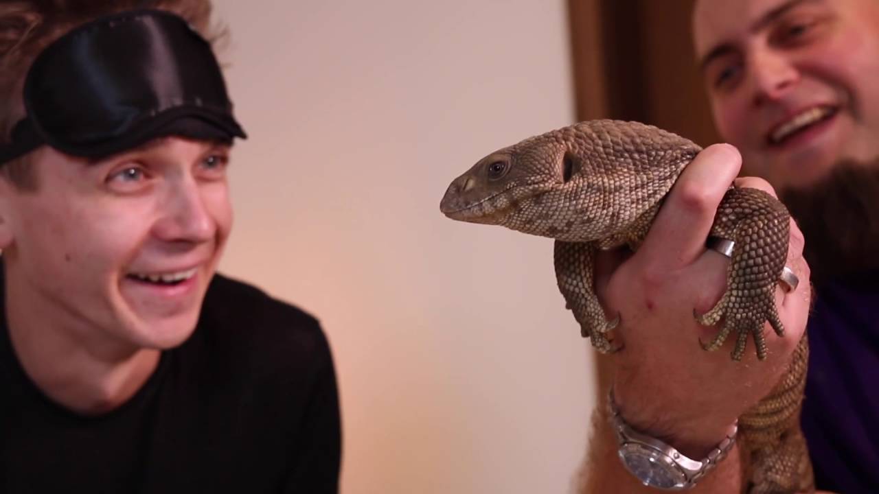BLINDFOLDED GUESS THE ANIMAL - YouTube