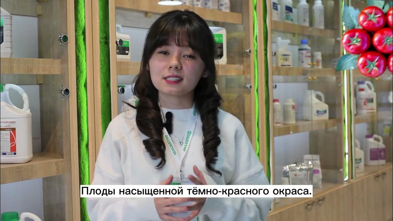 Семена Лоджейн F1 от компании Enza Zaden - YouTube