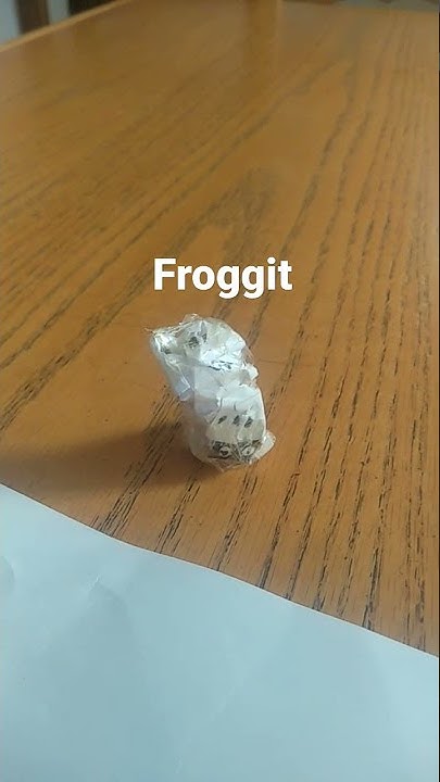 froggit intro - YouTube