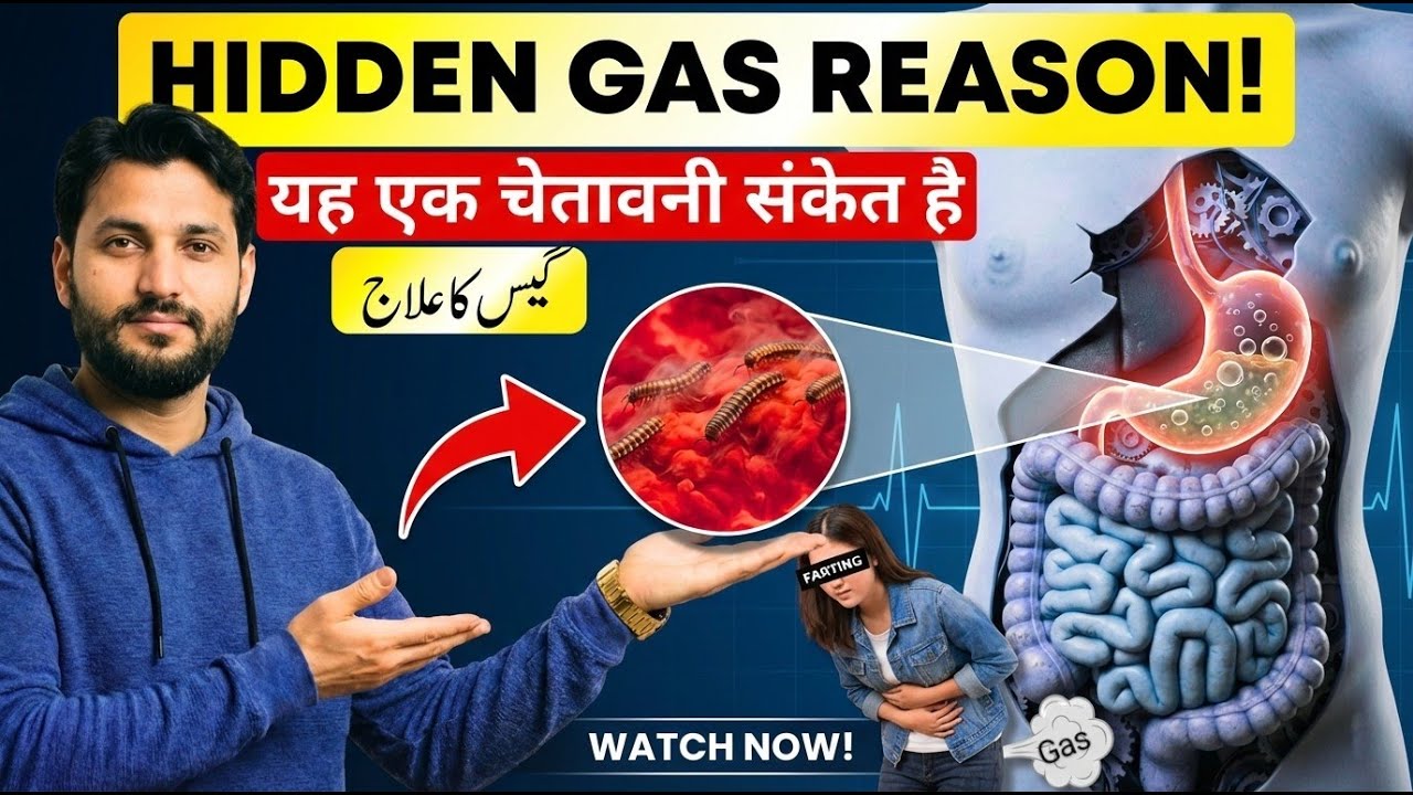 Why Gas Forms in Your Stomach | Real Cause Explained - YouTube