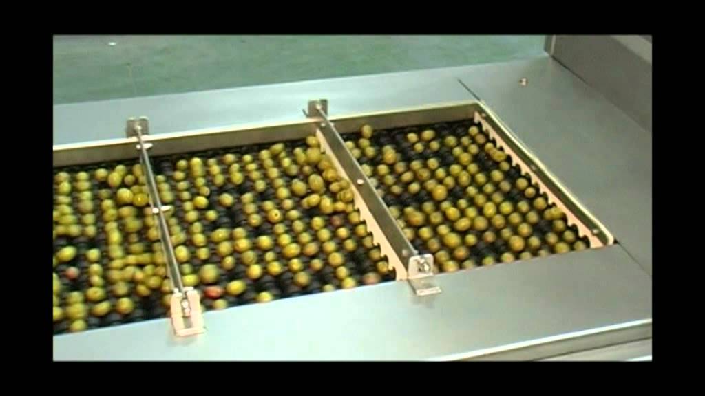Afsatec Olive Artificial Vision Grading System YouTube Afsatec Olive Artificial Vision Grading System YouTube