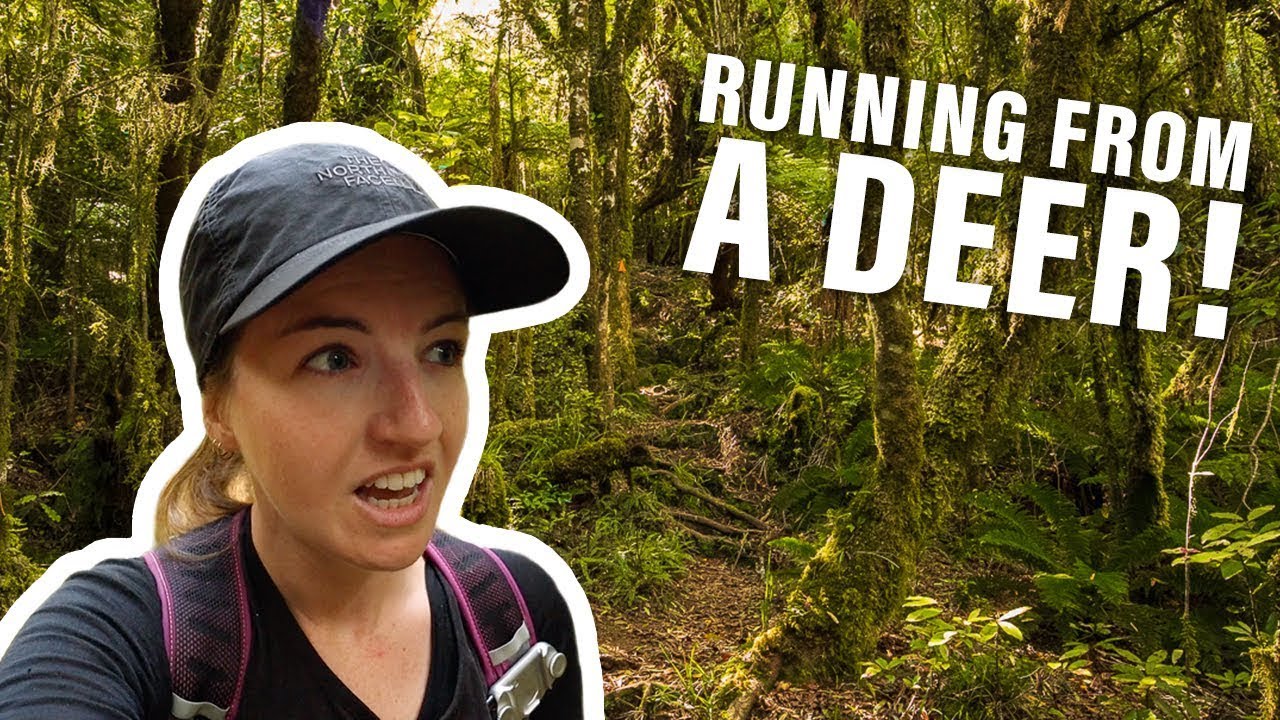 Running from a Deer in the Forest! Coming Face to Face with a Deer on ...