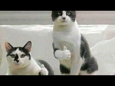 Style VS Kyman - YouTube