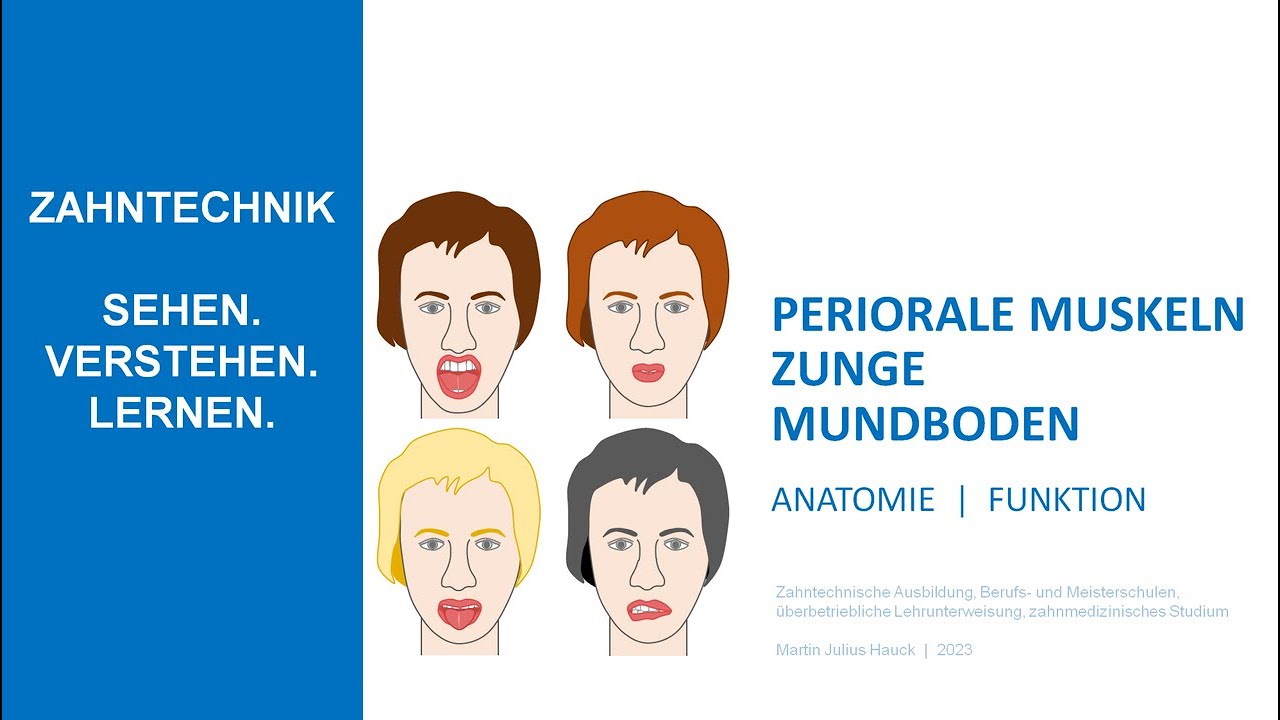 Periorale Muskeln - Zunge - Mundboden | Anatomie, Funktion - YouTube
