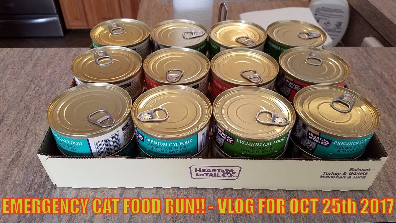 EMERGENCY CAT FOOD RUN!! VLOG FOR OCT 25th 2017 - YouTube