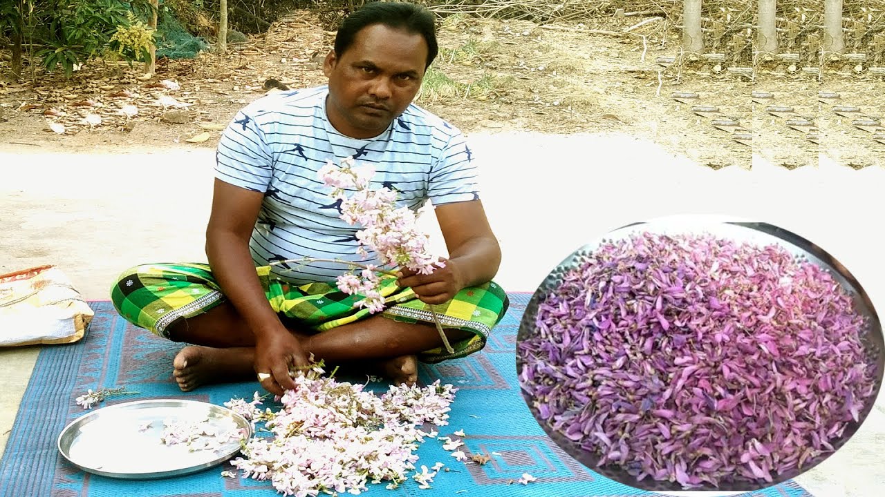 Girel full ki sabji,jangli flower recipe - YouTube