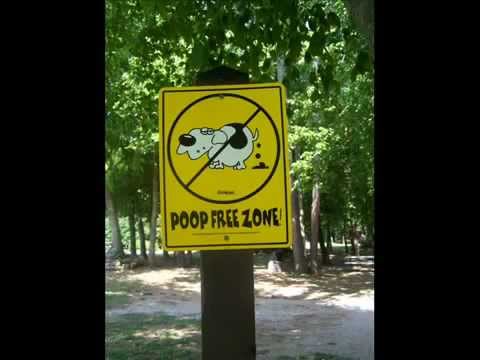 Make poop. funniest song ever. - YouTube