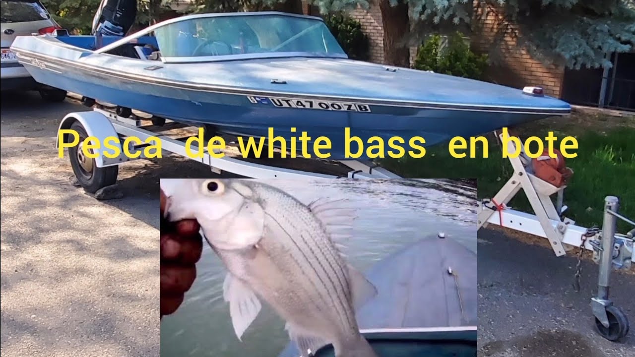 Utah lake pesca de white bass parte 2 - YouTube
