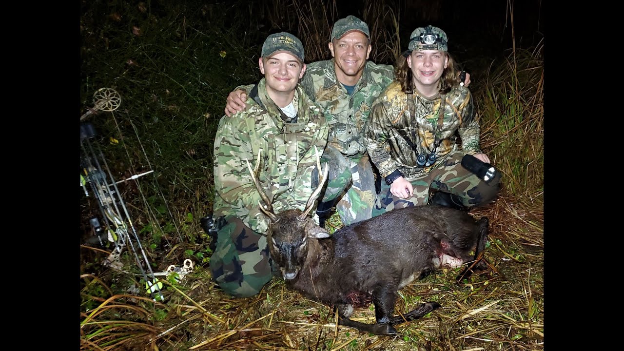 SIKA SUCCESS! - The Sika Saga - Part 2 - Bowhunting Sika Deer on ...