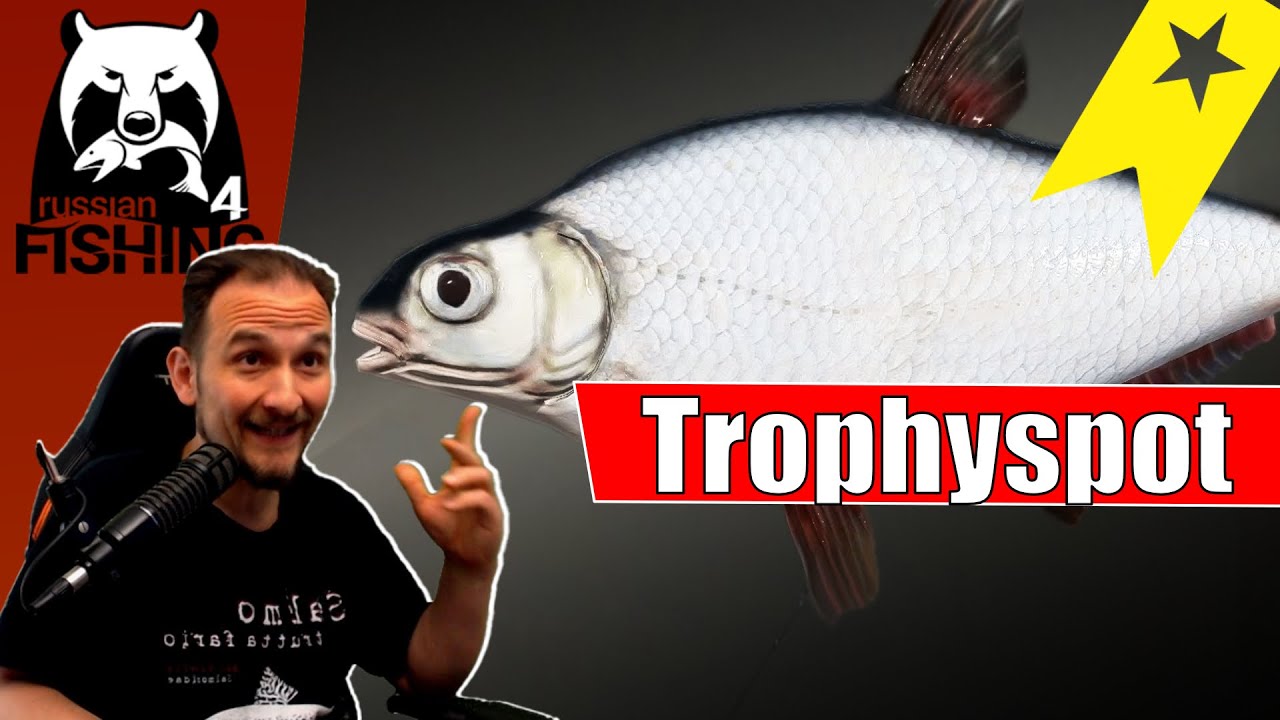 Russian Fishing 4 - Achtuba - Trophyspot: Zobel - YouTube