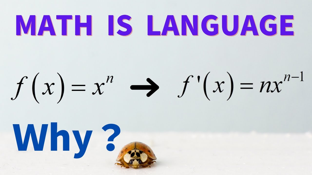 MATH IS LANGUAGE - YouTube