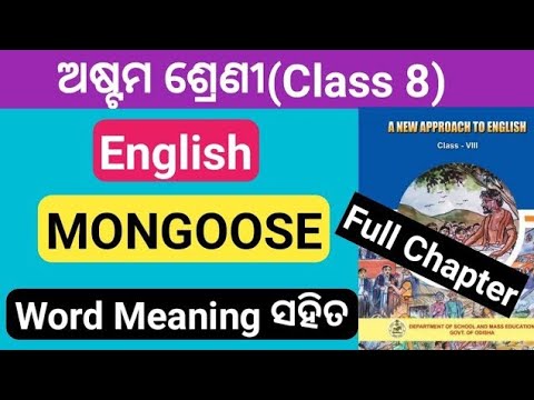 8th class English lesson 3 mongoose word meaning in odia || class 8 ...
