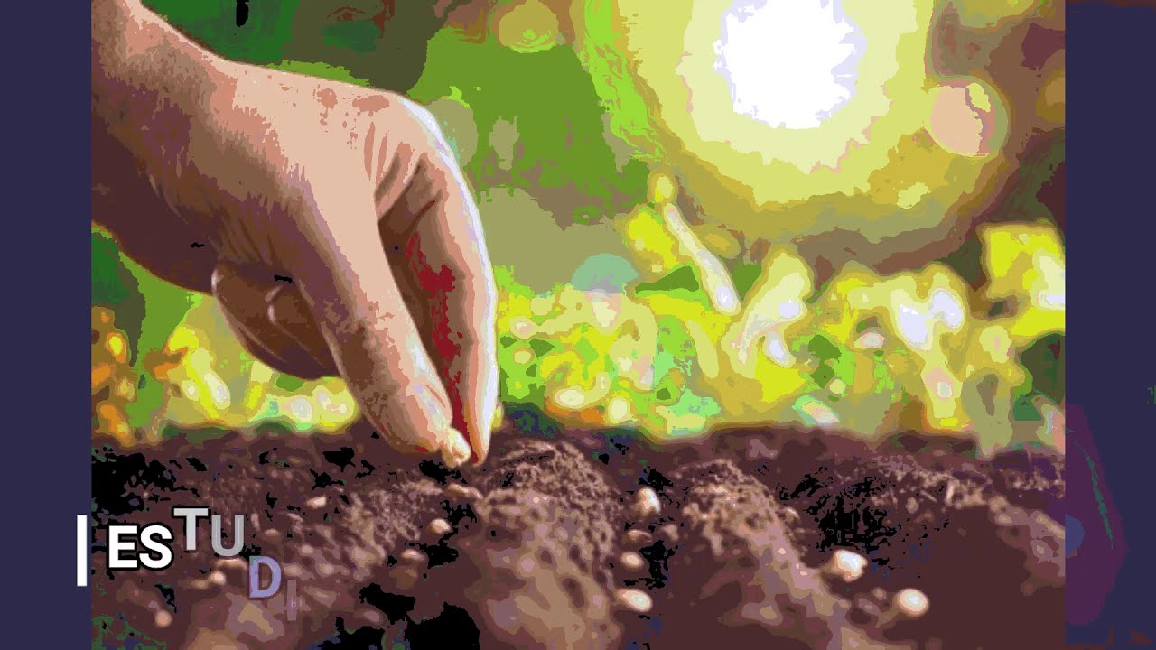 ESTUDIO DE PROVERBIOS 3 25 - YouTube