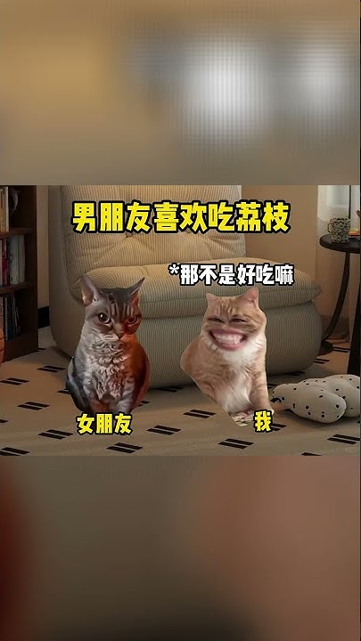 男朋友喜欢吃荔枝 #猫meme #猫meme小剧场 #memes - YouTube