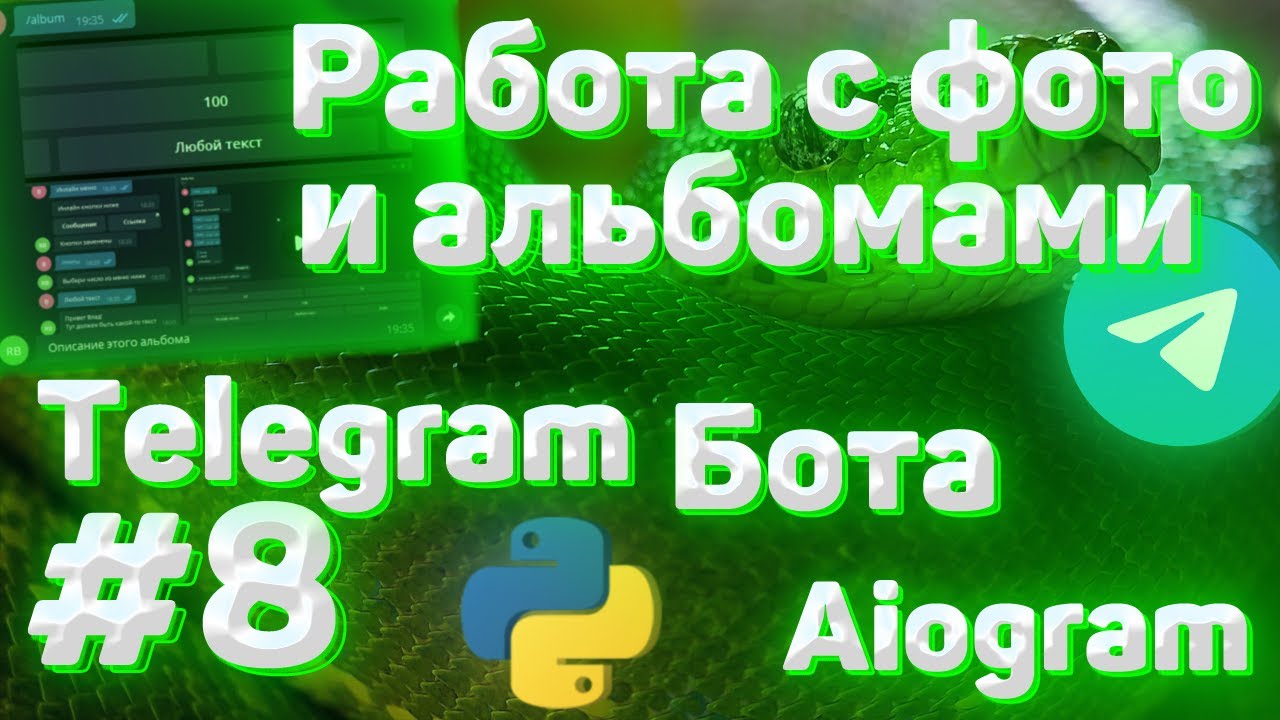 8 Работа с фото видео и альбомами в телеграм боте на Python 1743
