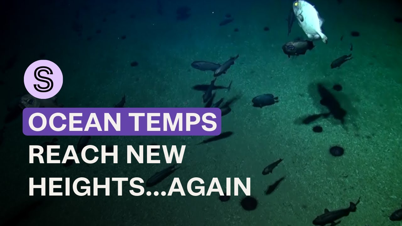 What the world can expect as ocean temperatures reach new record high ...