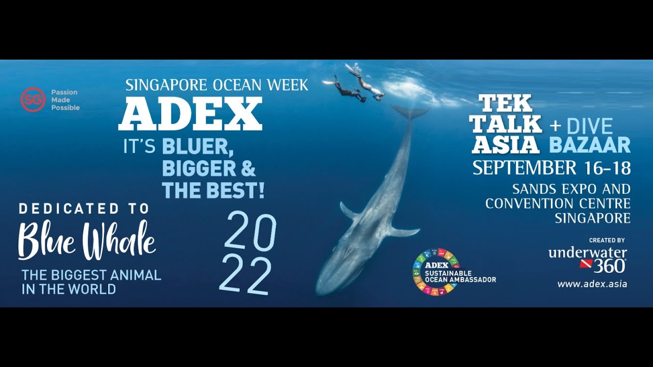 ADEX Ocean Vision Post Show Video - Day 2 - YouTube