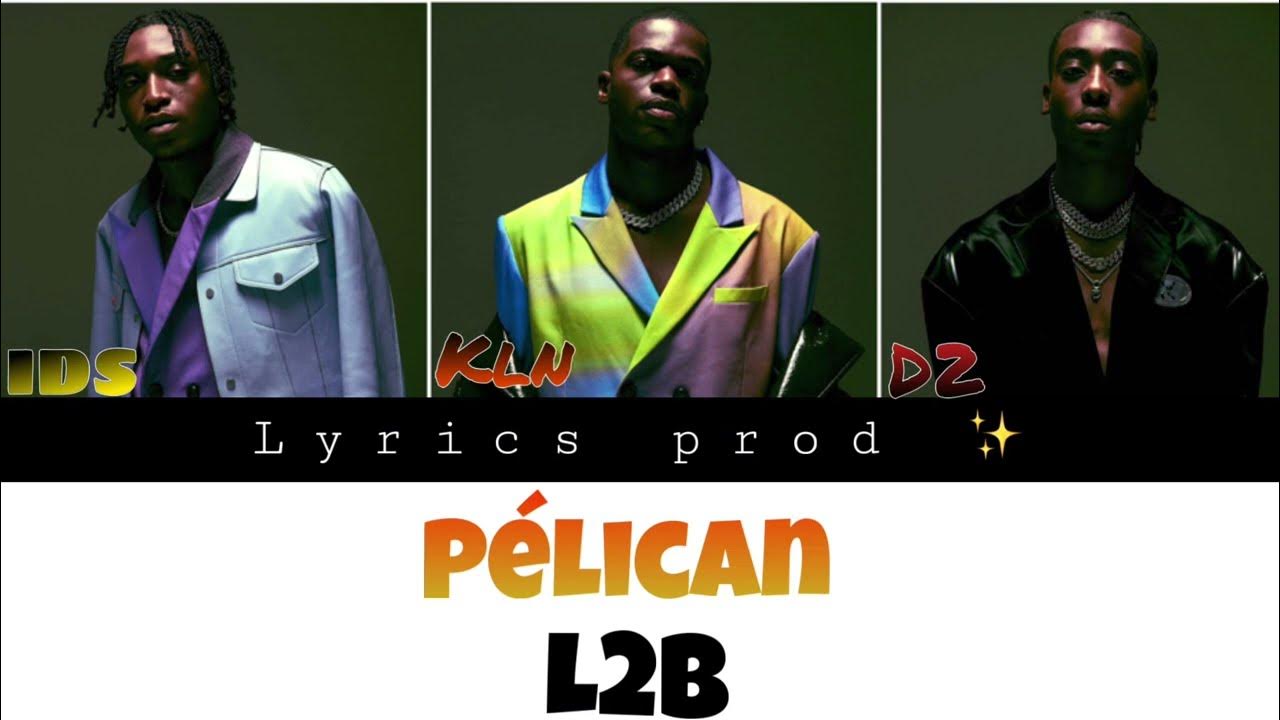 Pélican-L2B PAROLE(color coded lyrics) - YouTube