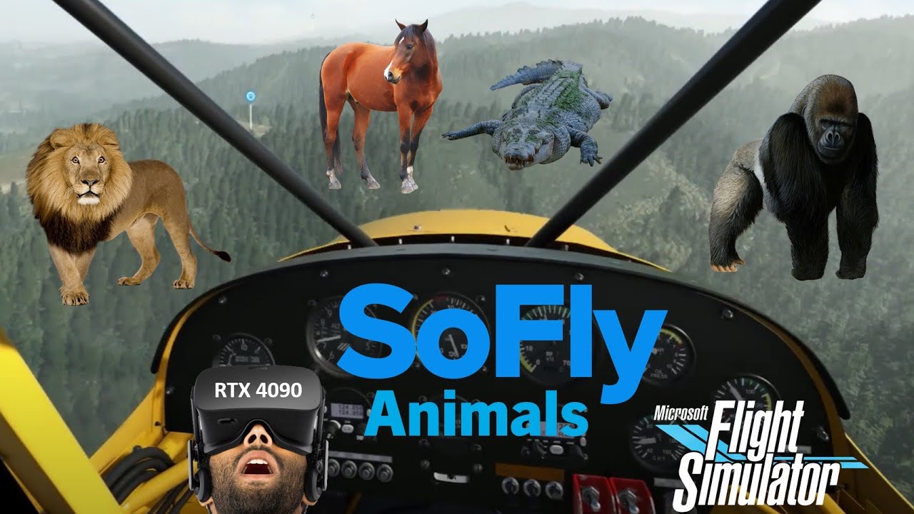 SoFly Animals Orientation Flight in VR | MSFS 2020 | RTX 4090 Laptop # ...