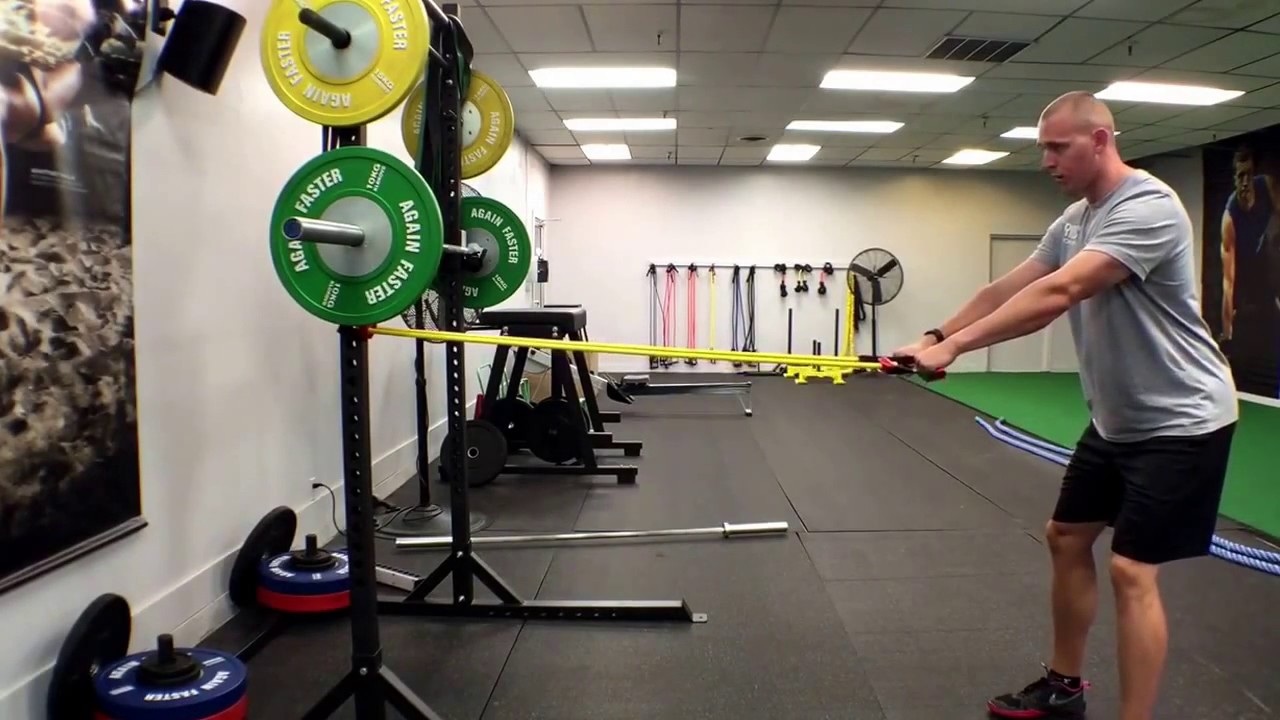 RB Scap Row Tutorial - YouTube
