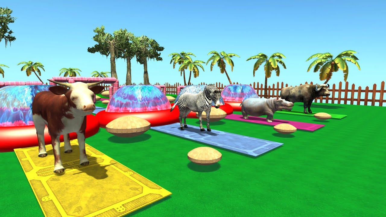 to turn into animals cow zebra hippopotamus ox - YouTube