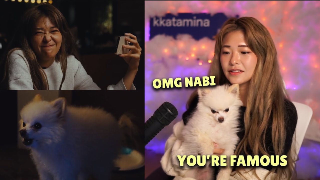 Miyoung reacts to Streamer Camp Trailer - YouTube