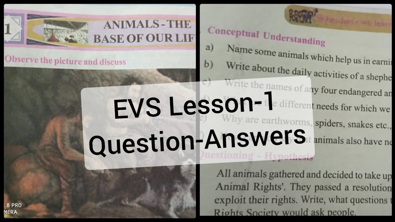 5th class EVS Lesson 1 Question/Answers|Animals Base of life lesson ...
