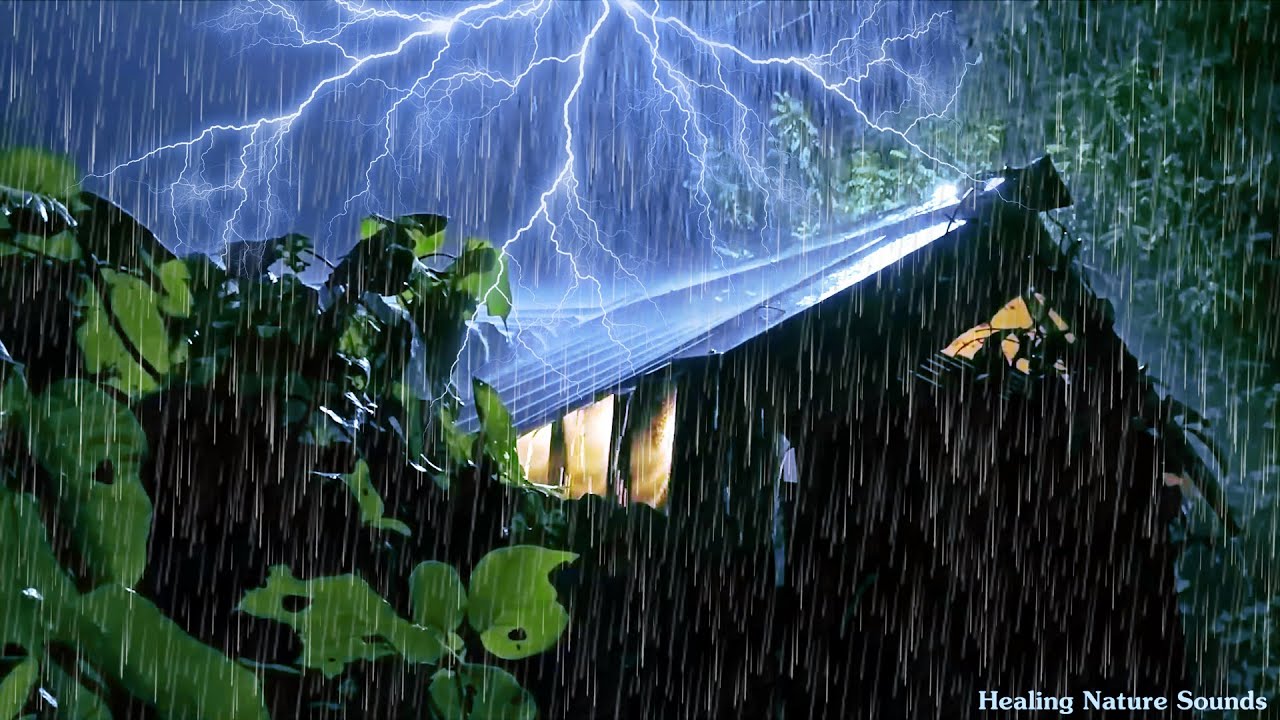 Sleep Instantly & Wake Up Full Of Energy w/ Heavy Rain on Umbrella ...