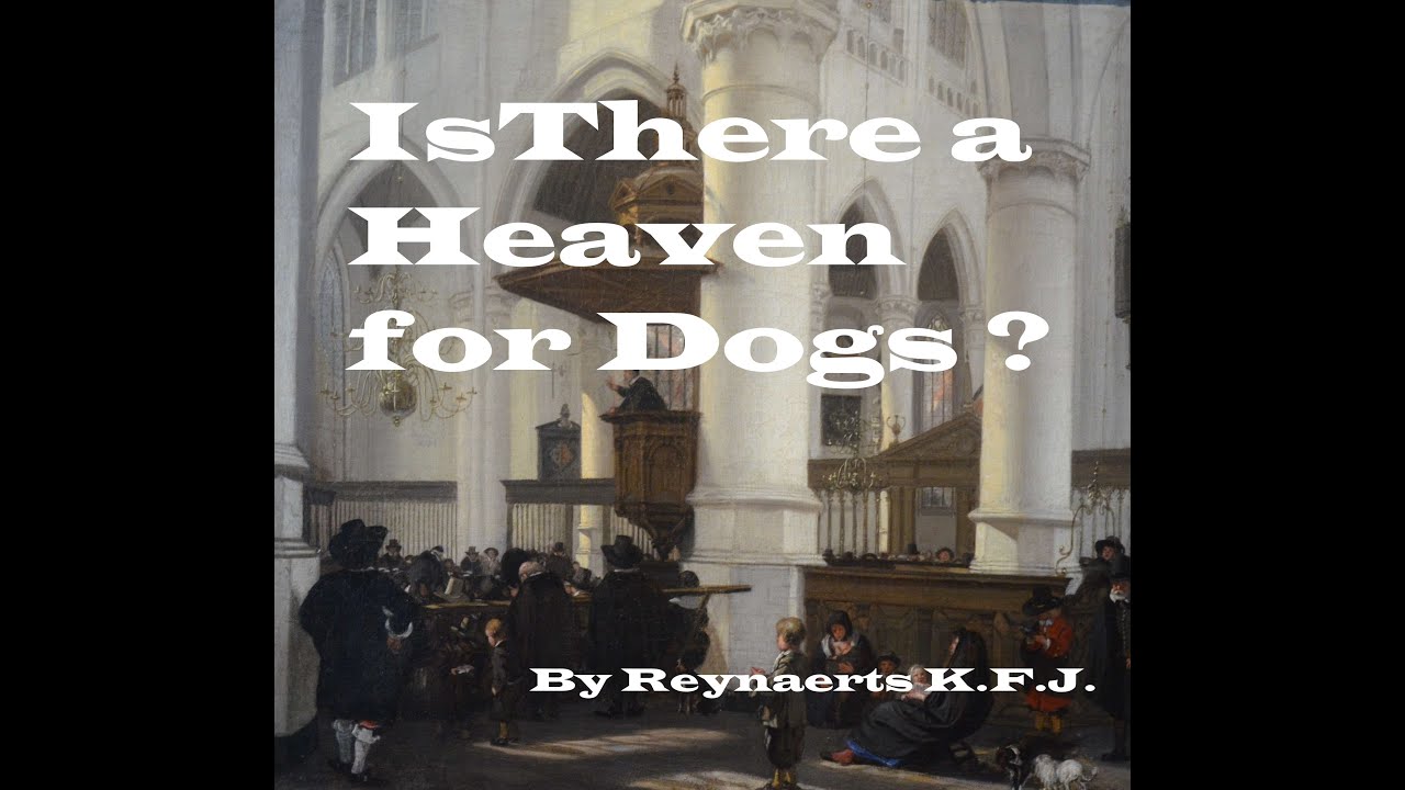 Is There a Heaven for Dogs - YouTube