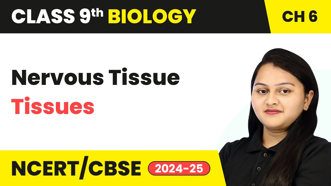 Nervous Tissue - Tissues | Class 9 Biology Chapter 6 | CBSE 2024-25 ...