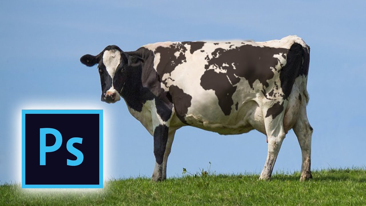 Photoshop Editing Replace Texture on Cow Photoshop Tutorial World Map ...