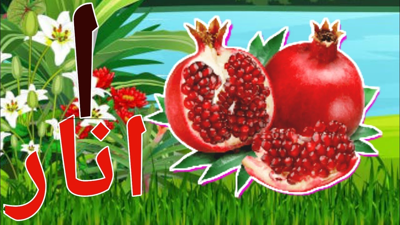 alif se anar,alif bay pay,urdu haroof e tahaji sounds,urdu alphabet ...