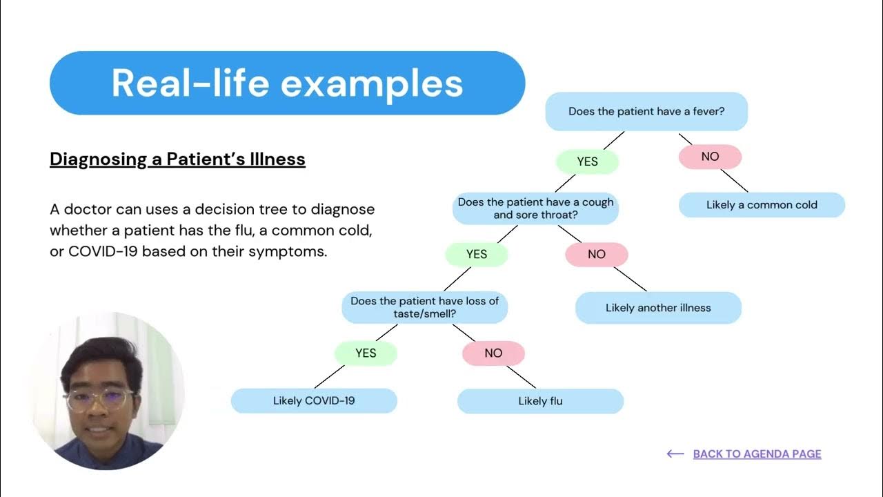 DECISION TREES - YouTube