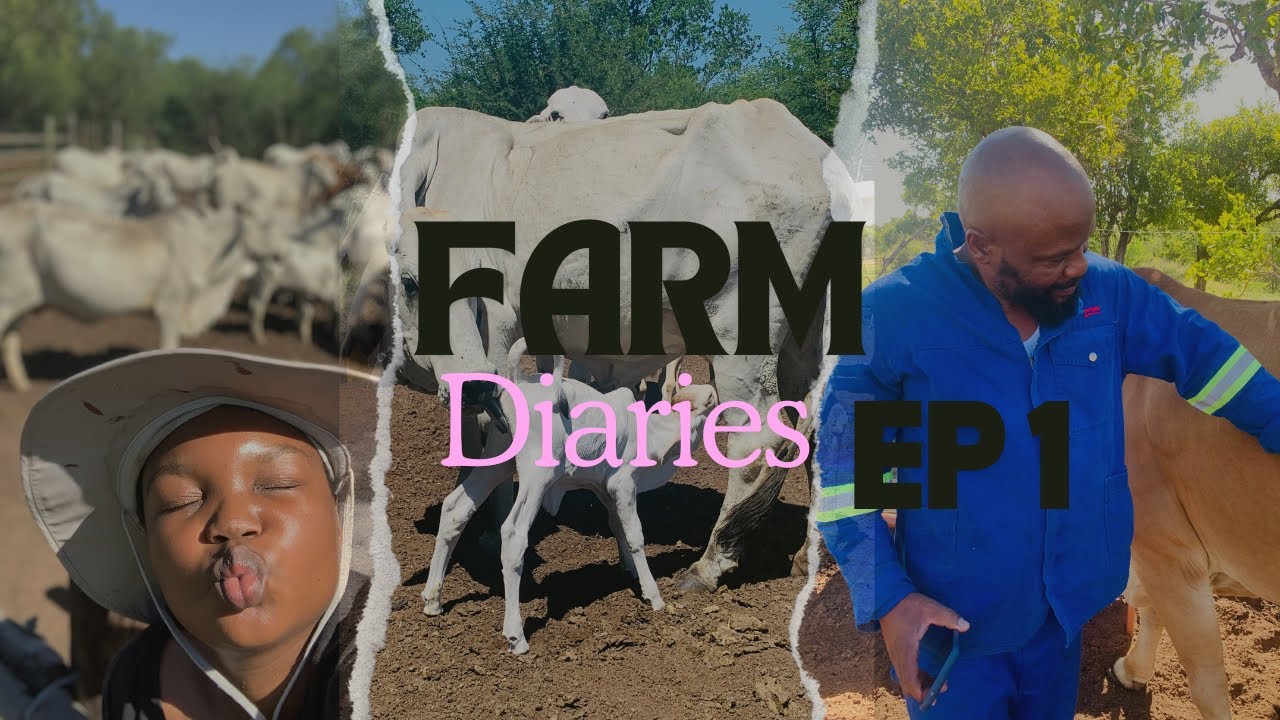 FARM DIARIES EP1 🌸 | Spend the day with me | South African YouTuber ...