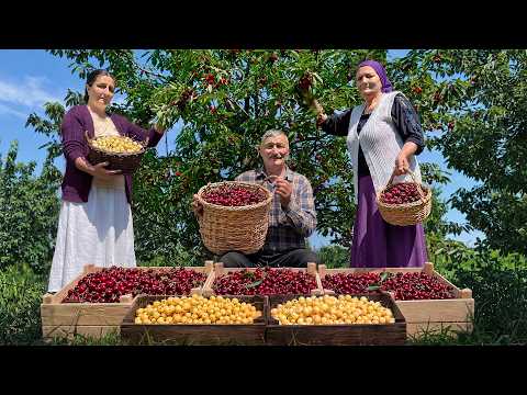 Relaxing Village Life Compilation with Simple Cooking 🏡