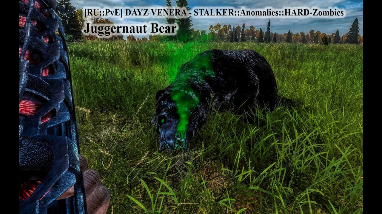 DAYZ VENERA - STALKER: Juggernaut Bear - YouTube