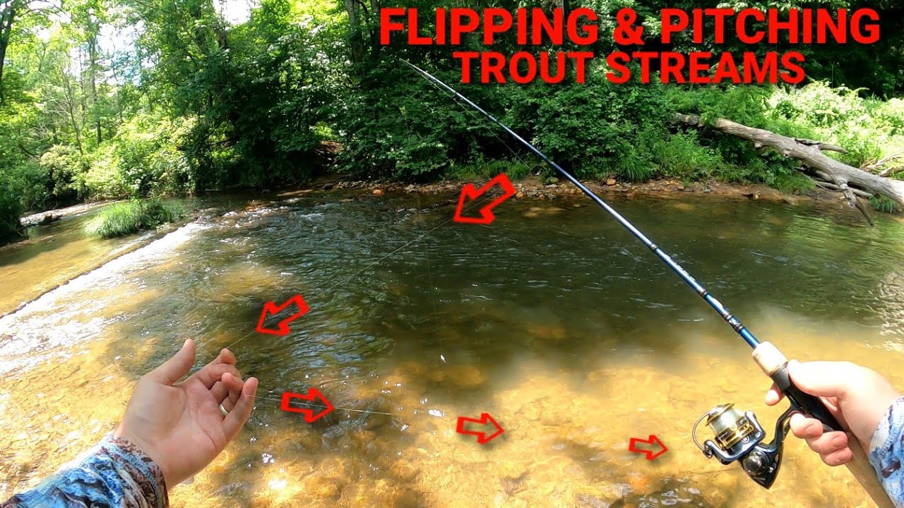 CATCH MORE TROUT USING THIS SIMPLE TECHNIQUE || Flipping & Pitching ...