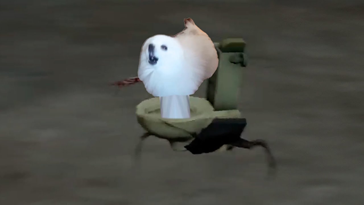 Skibidi Dog Toilet 34 - YouTube