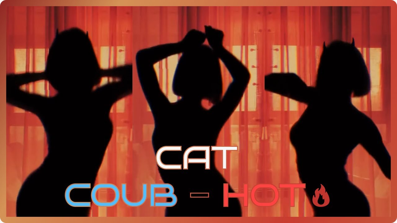 Cat Coub - Hot / Горячее на Coub - YouTube