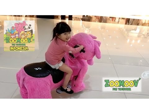 ZooMoov Animal Rides #VLOG14 3SProductions #ZOOMOOV - YouTube