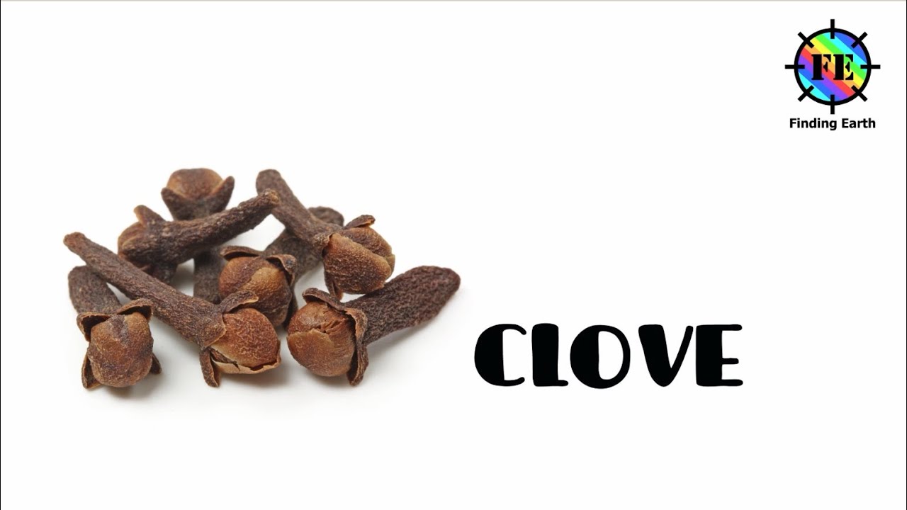 Complete Guide Book of Clove (Finding Earth) - YouTube