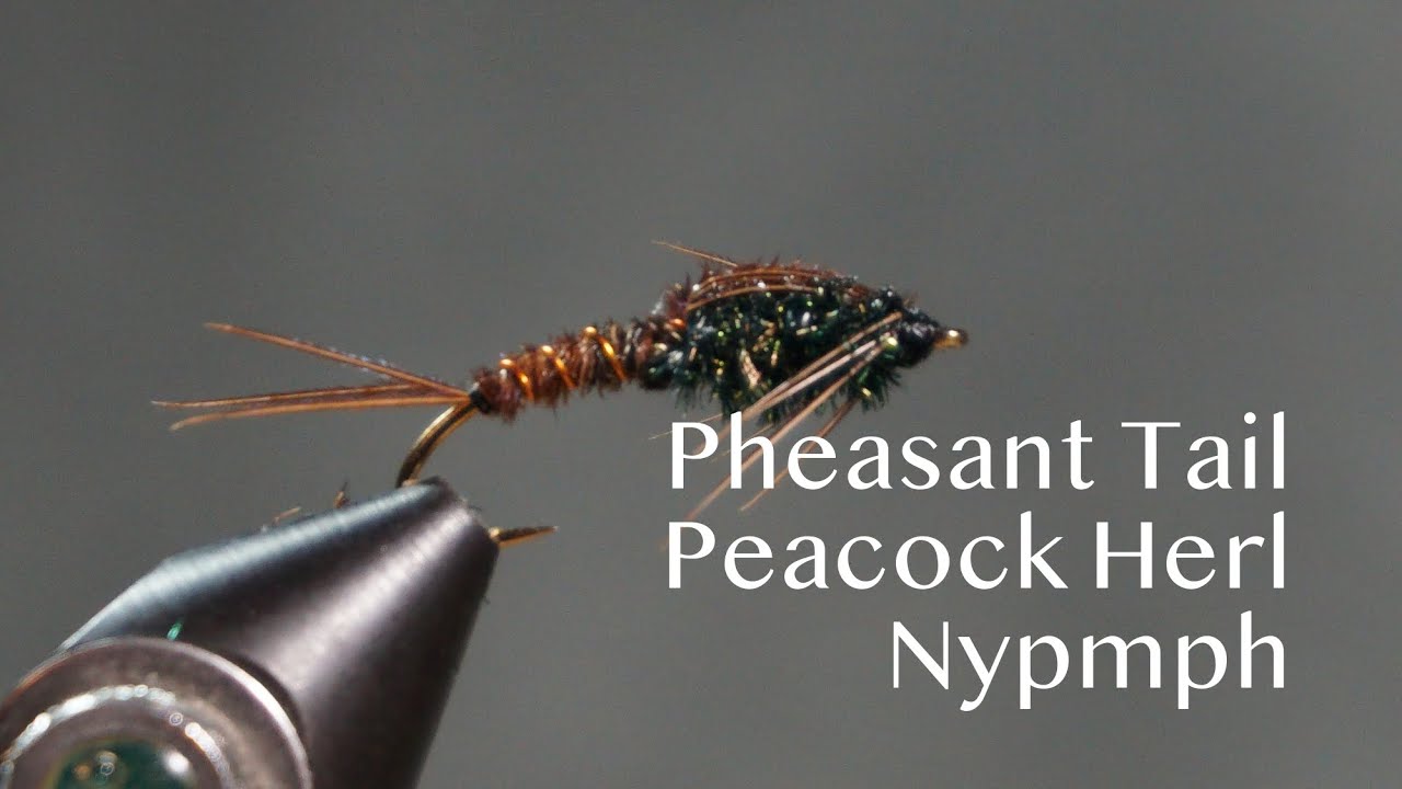 Pheasant Tail Peacock Herl Nymph - YouTube