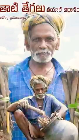 తాటి తేగలు తయారీ విధానం ఆరోగ్య ప్రయోజనాలు || Thati Tegalu Whole Process ...