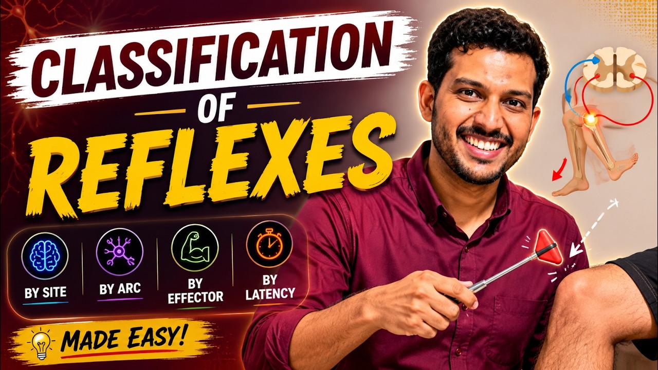 Reflexes Classified | Quick and Easy Guide - YouTube