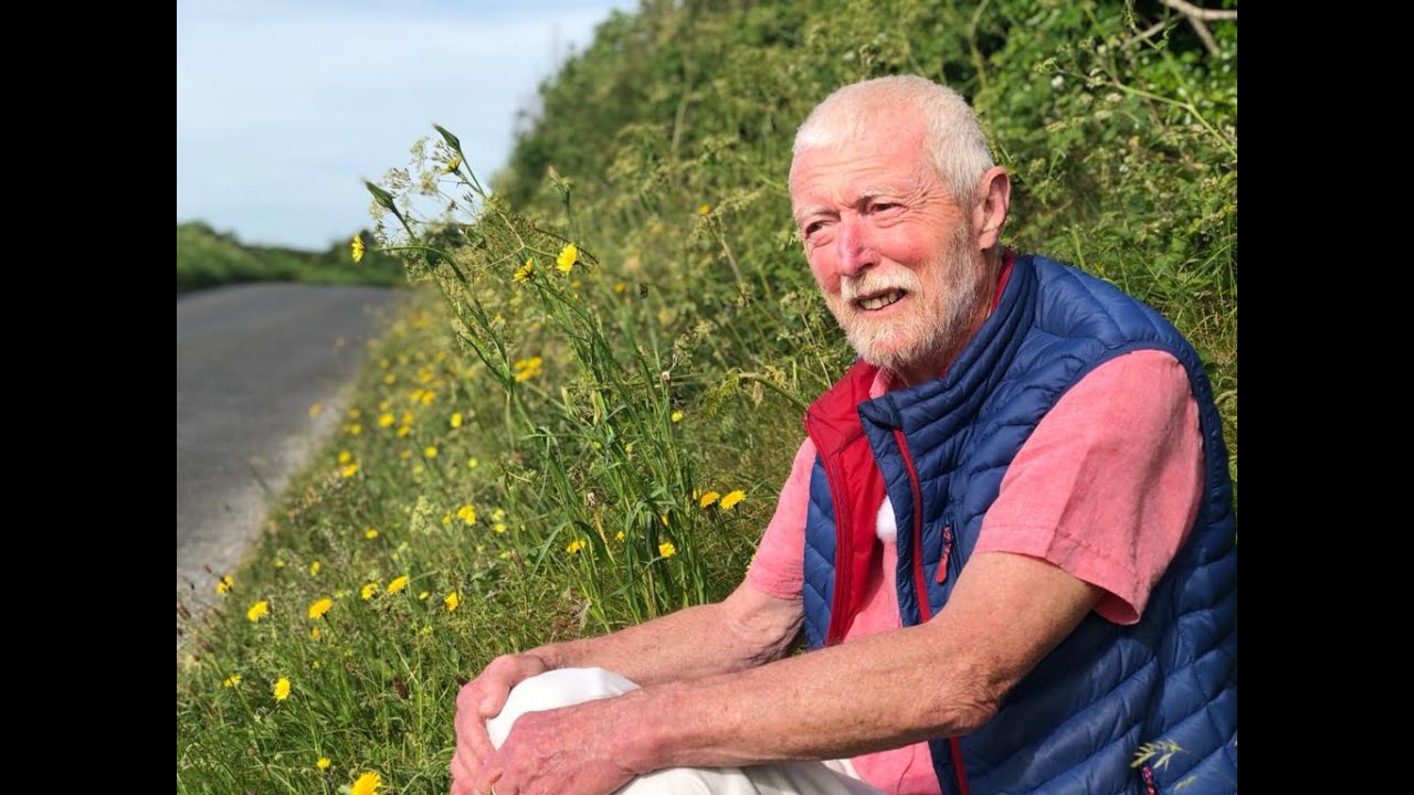 Goat's-beard with John Feehan in June, Wildflowers of Offaly series ...